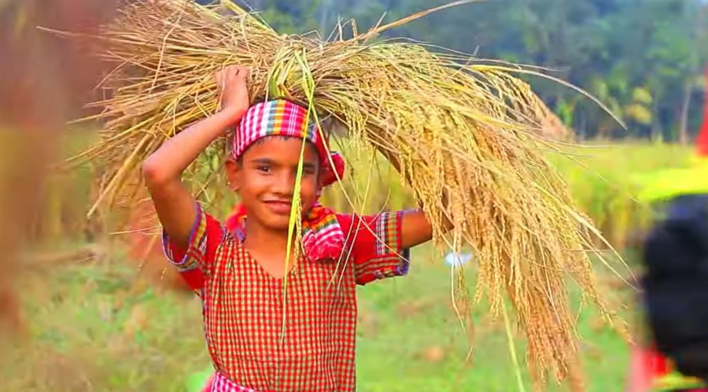 Nabanna Festival in Bangladesh - Tours & Trips Bangladesh